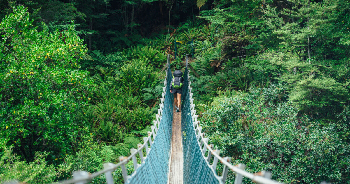 Mental Shortcuts — NZMSC