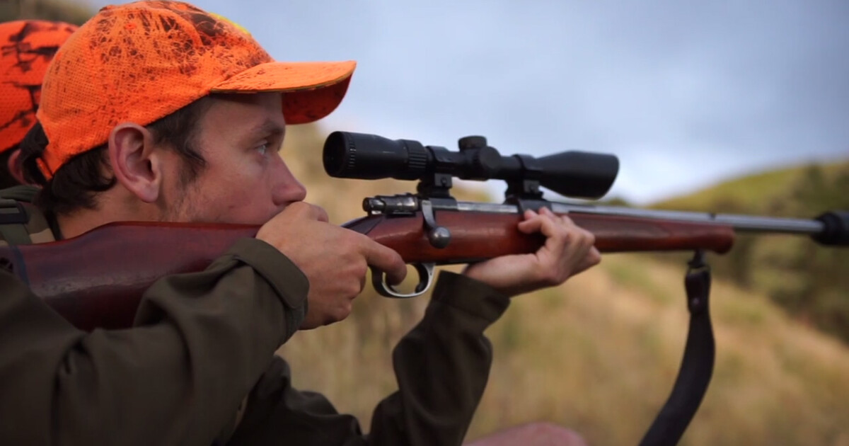 Mountain Safety Council New Zealand — Firearms Safety