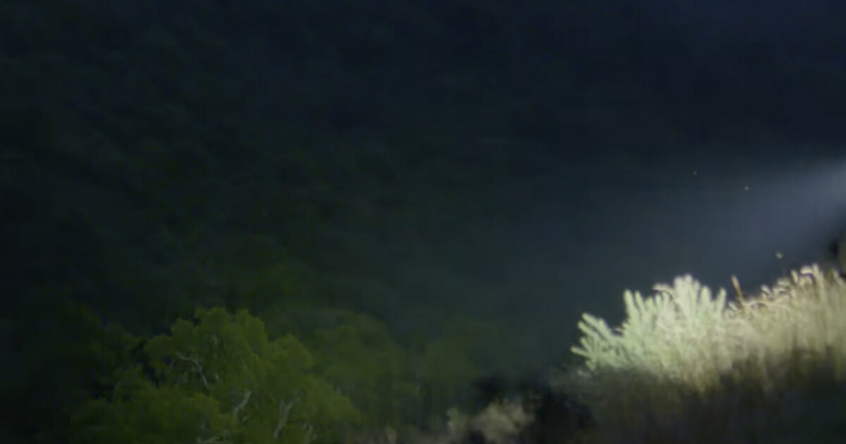 Mountain Safety Council New Zealand — Night Hunting