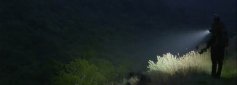 Activities — NZMSC