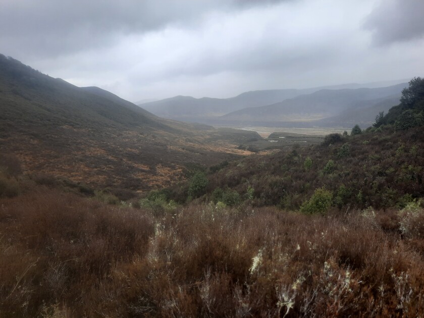 Learnings From a Night Out in Kaimanawa Forest — NZMSC