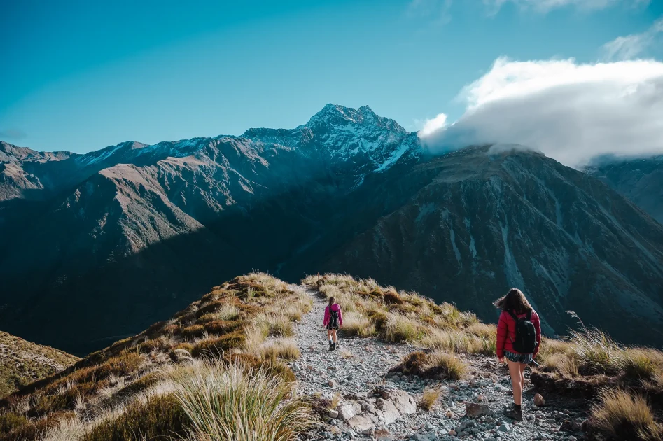 Plan My Walk — NZMSC