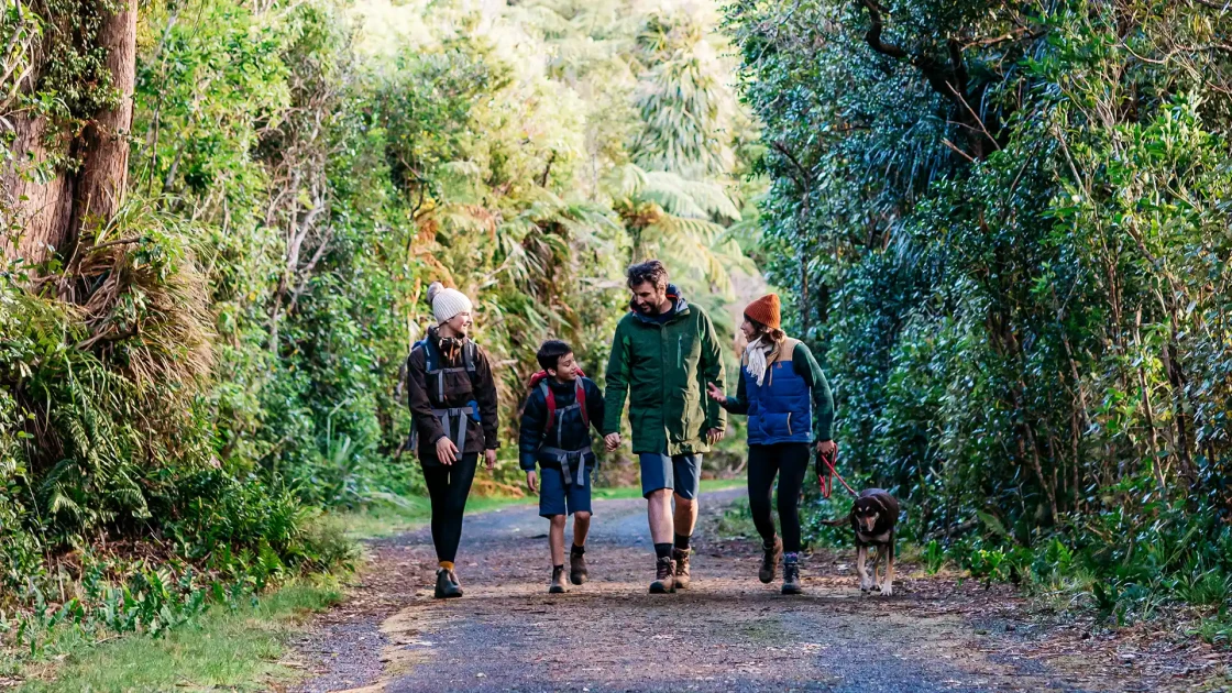 MSC and ACC Join Forces for ‘Have a hmmm’ This Summer — NZMSC