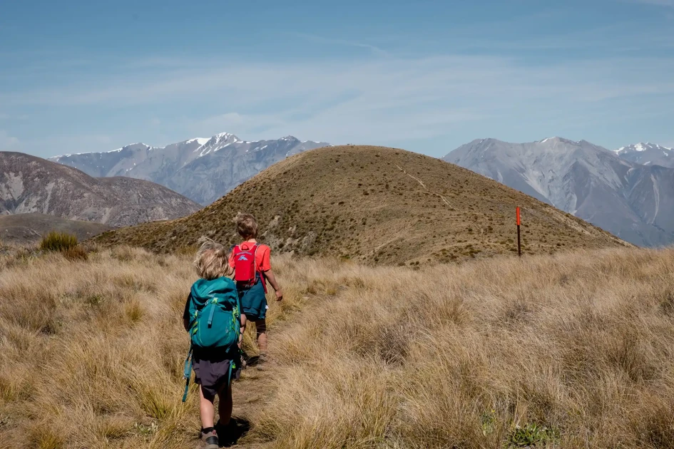 Plan My Walk Review Competition Terms and Conditions — NZMSC