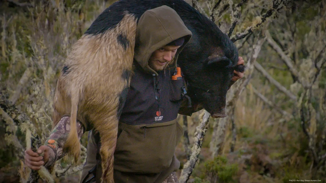 Pig Hunting — NZMSC
