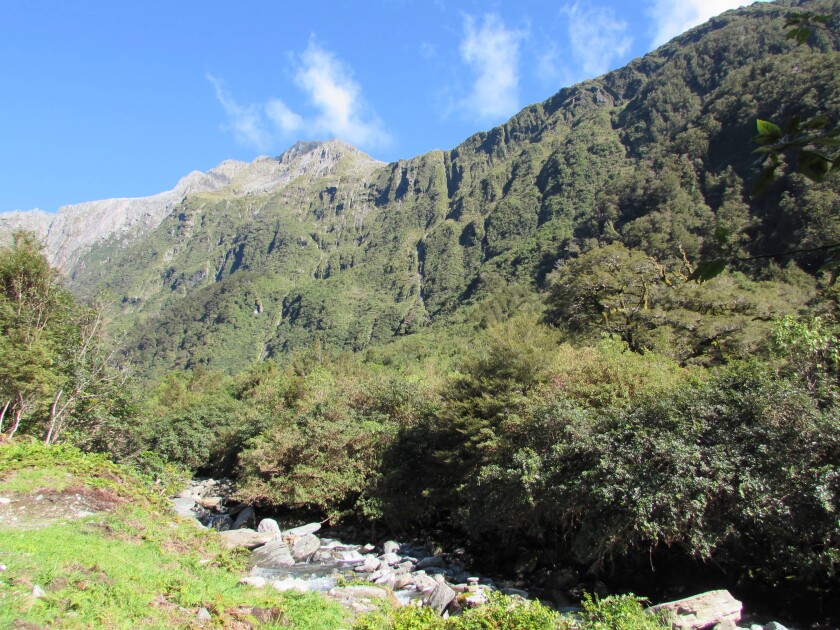 Well-Prepared Tramper Death Caused by Preventable Fall, Coroner Says ...